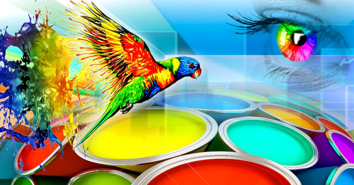 Lacuri | Vopsele | Tencuieli | Pardoseli - Emex